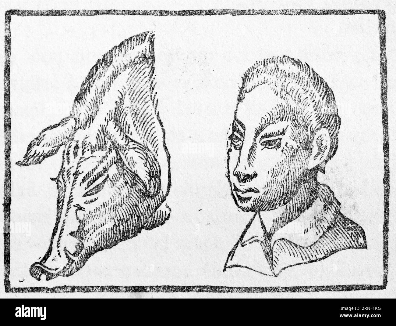 Forerunners hi-res stock photography and images - Alamy