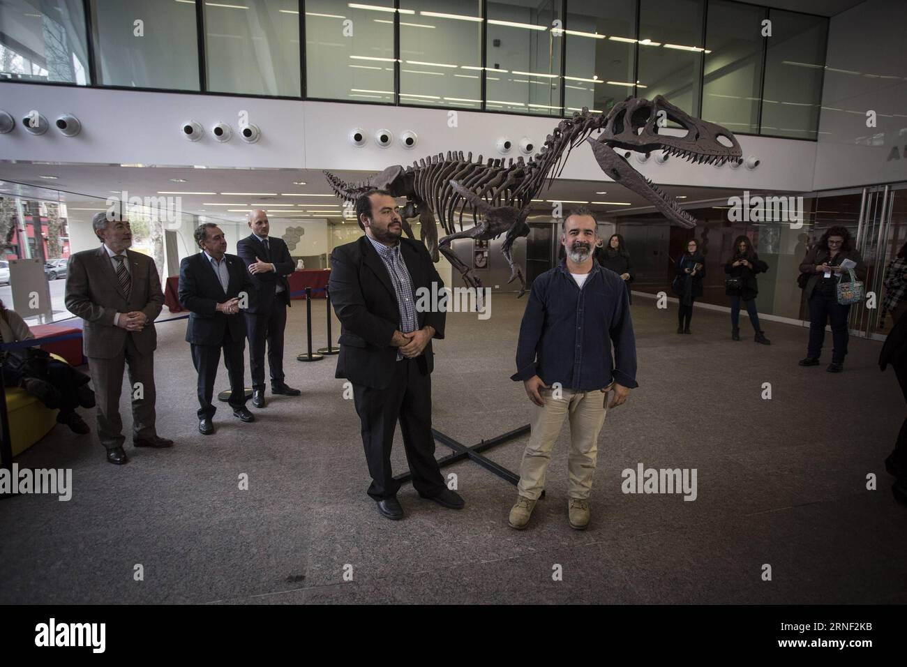Paleontologist dinosaur fossils hi-res stock photography and images - Alamy