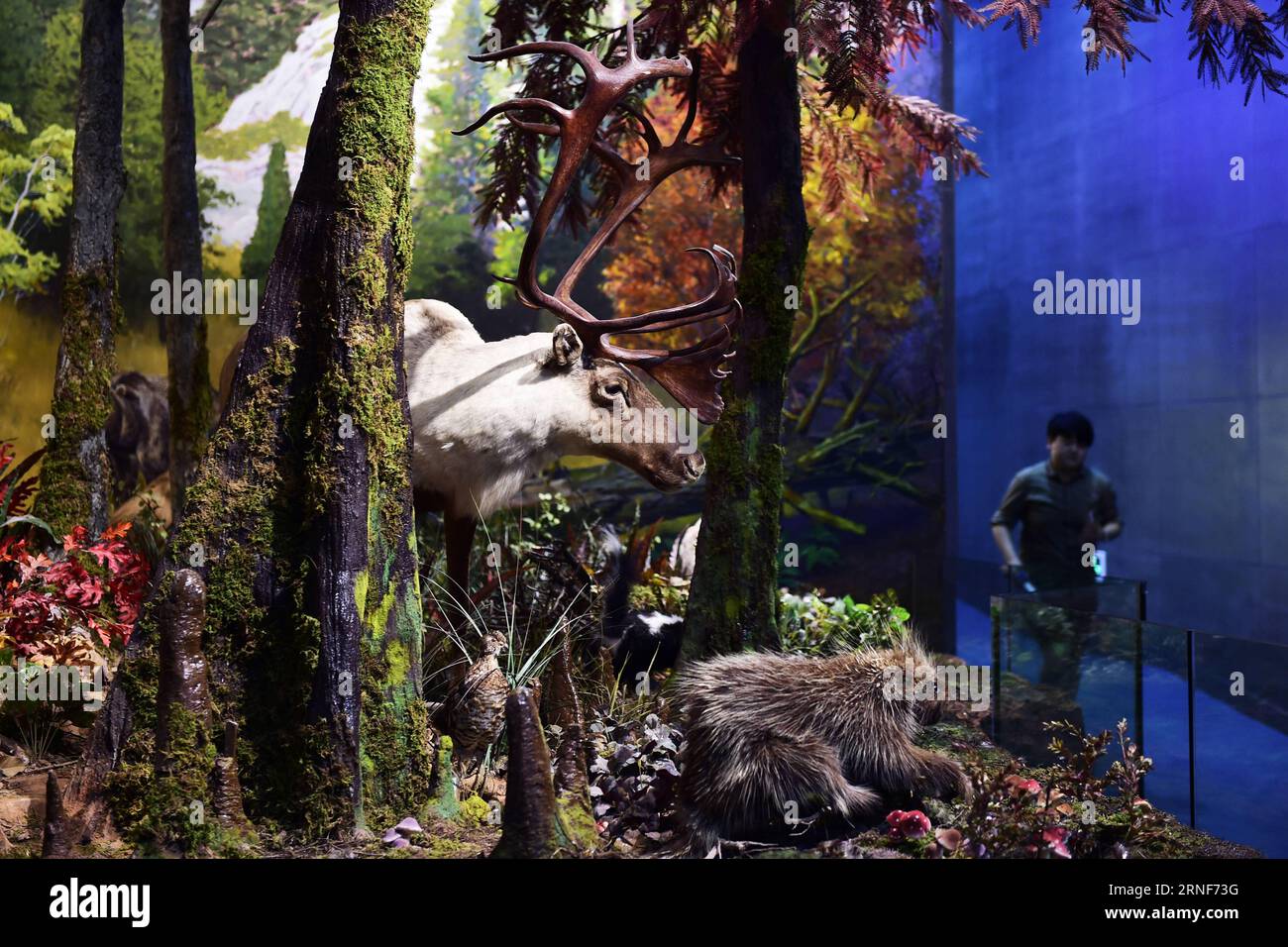(160722) -- HANGZHOU, July 22, 2016 -- Specimens of wild animals ...