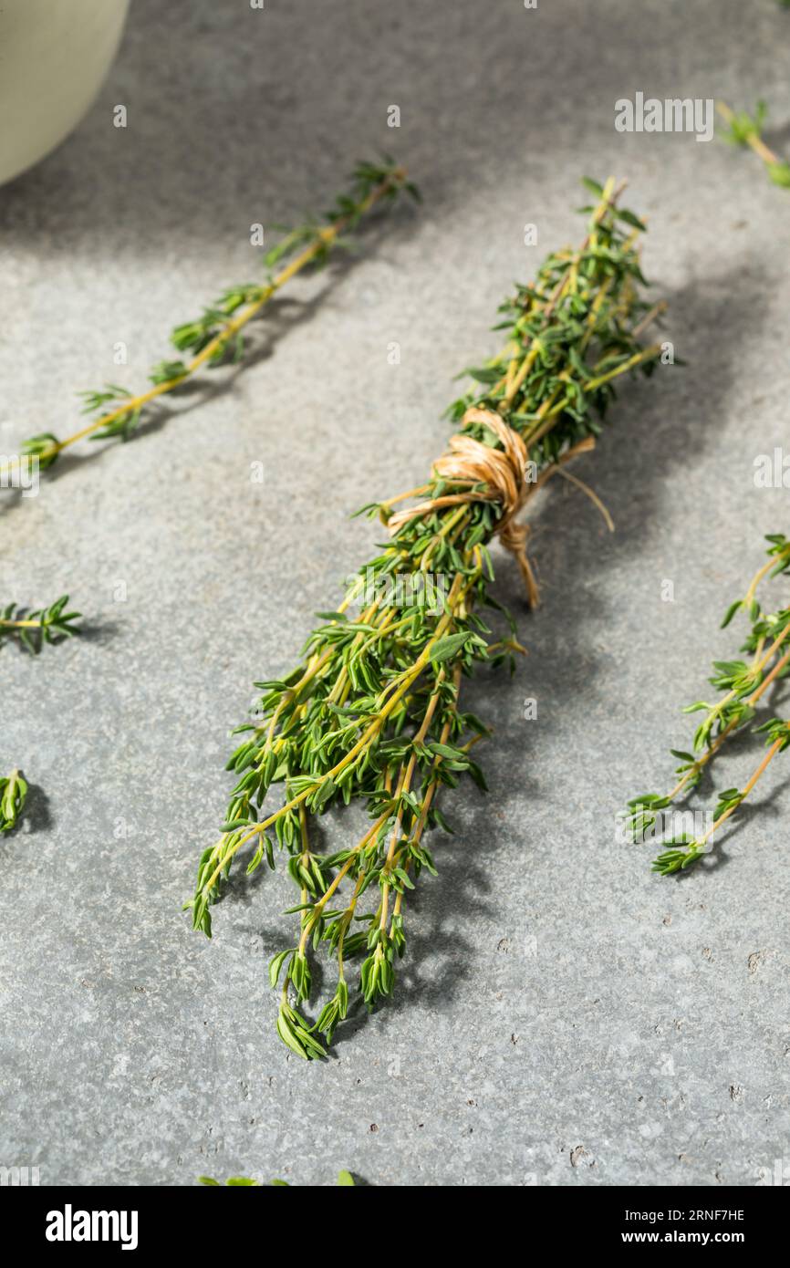 Green fresh thyme hi-res stock photography and images - Alamy