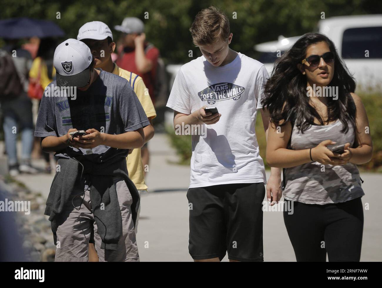VANCOUVER, July 23, 2016 -- People play Pokemon Go during a gathering ...