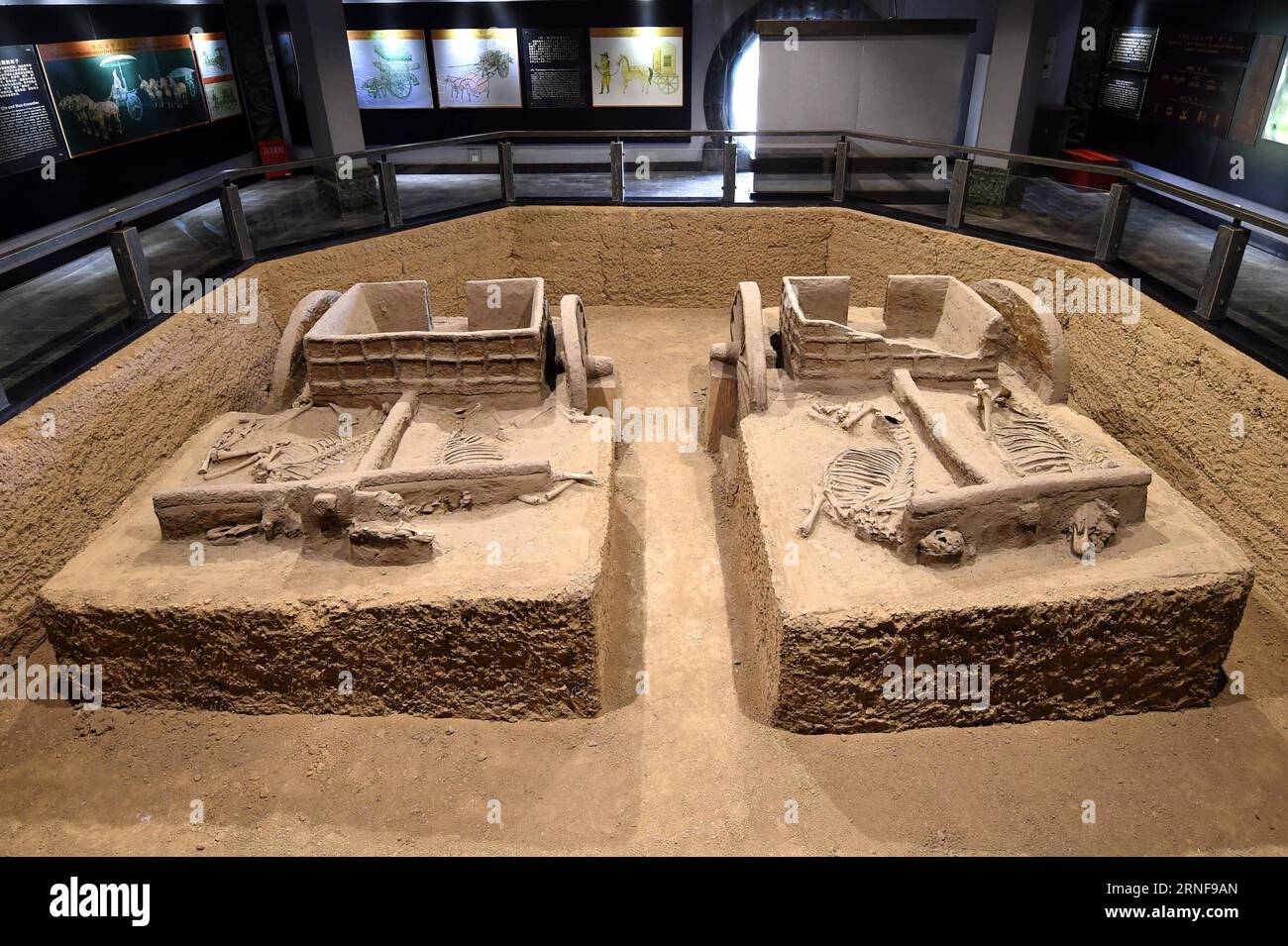 Oracle bones hi-res stock photography and images - Alamy