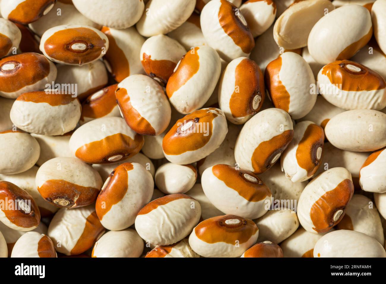 Yellow eye beans hi-res stock photography and images - Alamy