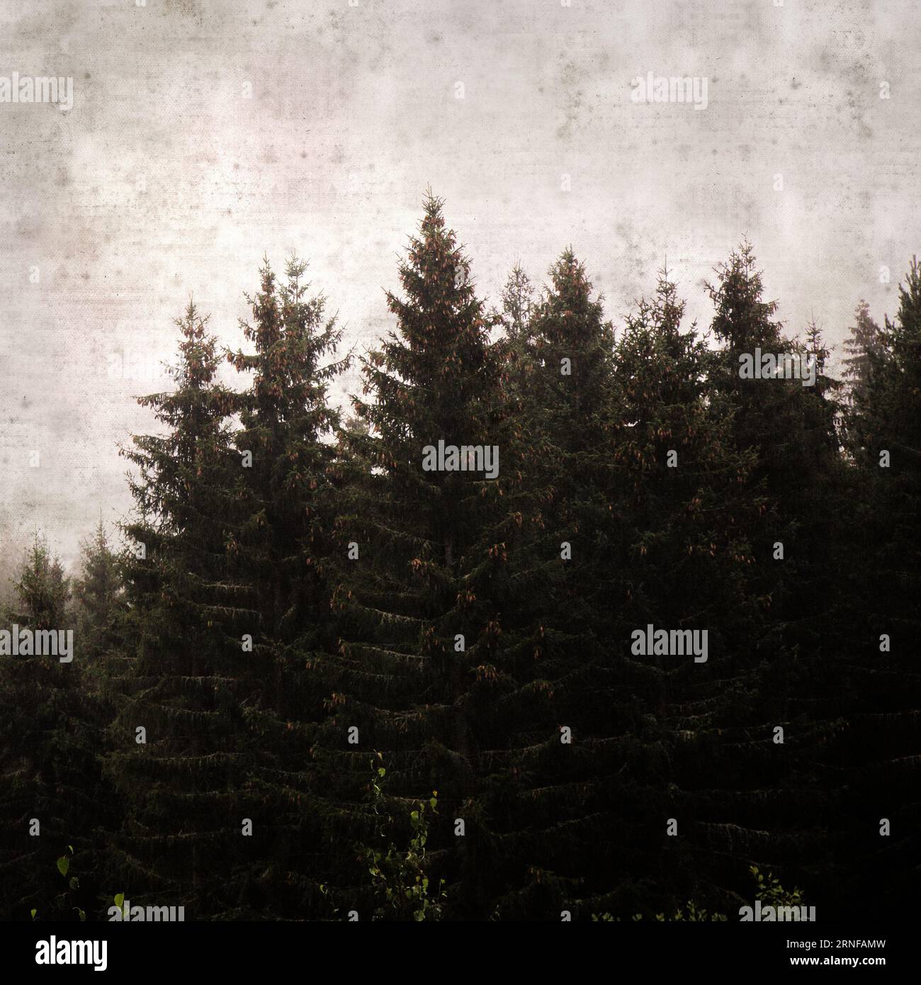 textured stylish old paper background, square Stock Photo - Alamy