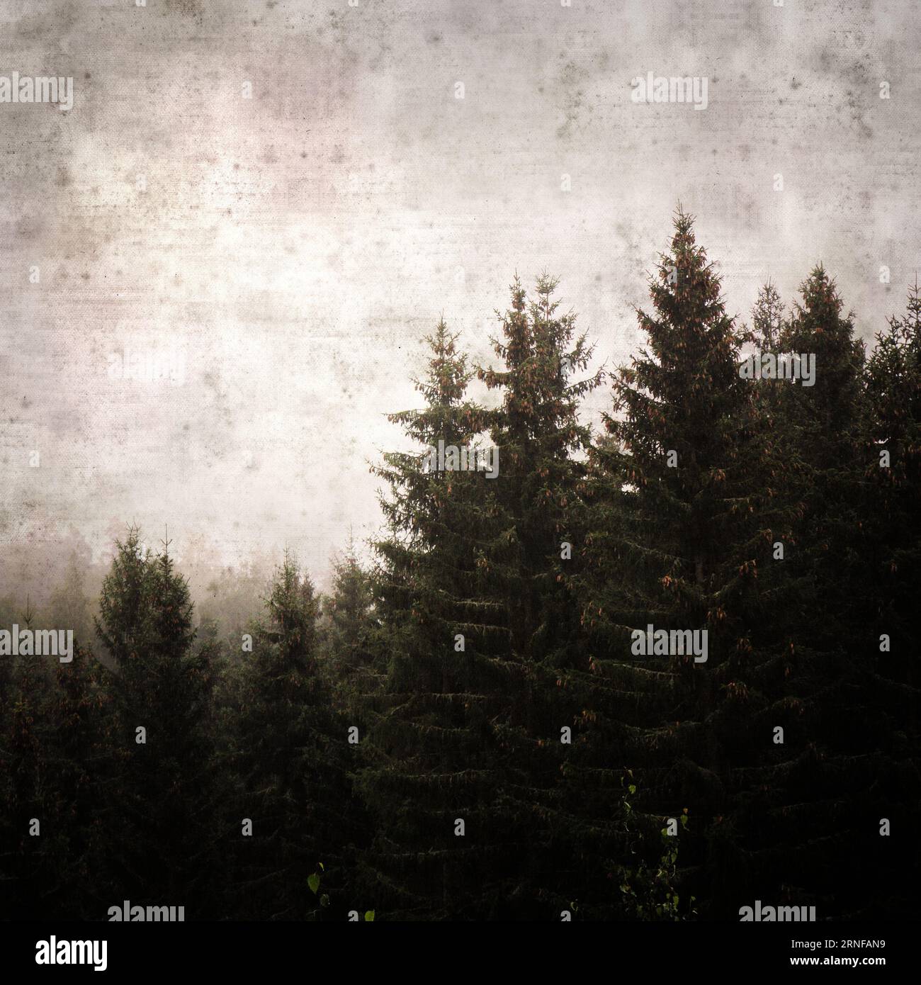 textured stylish old paper background, square Stock Photo - Alamy