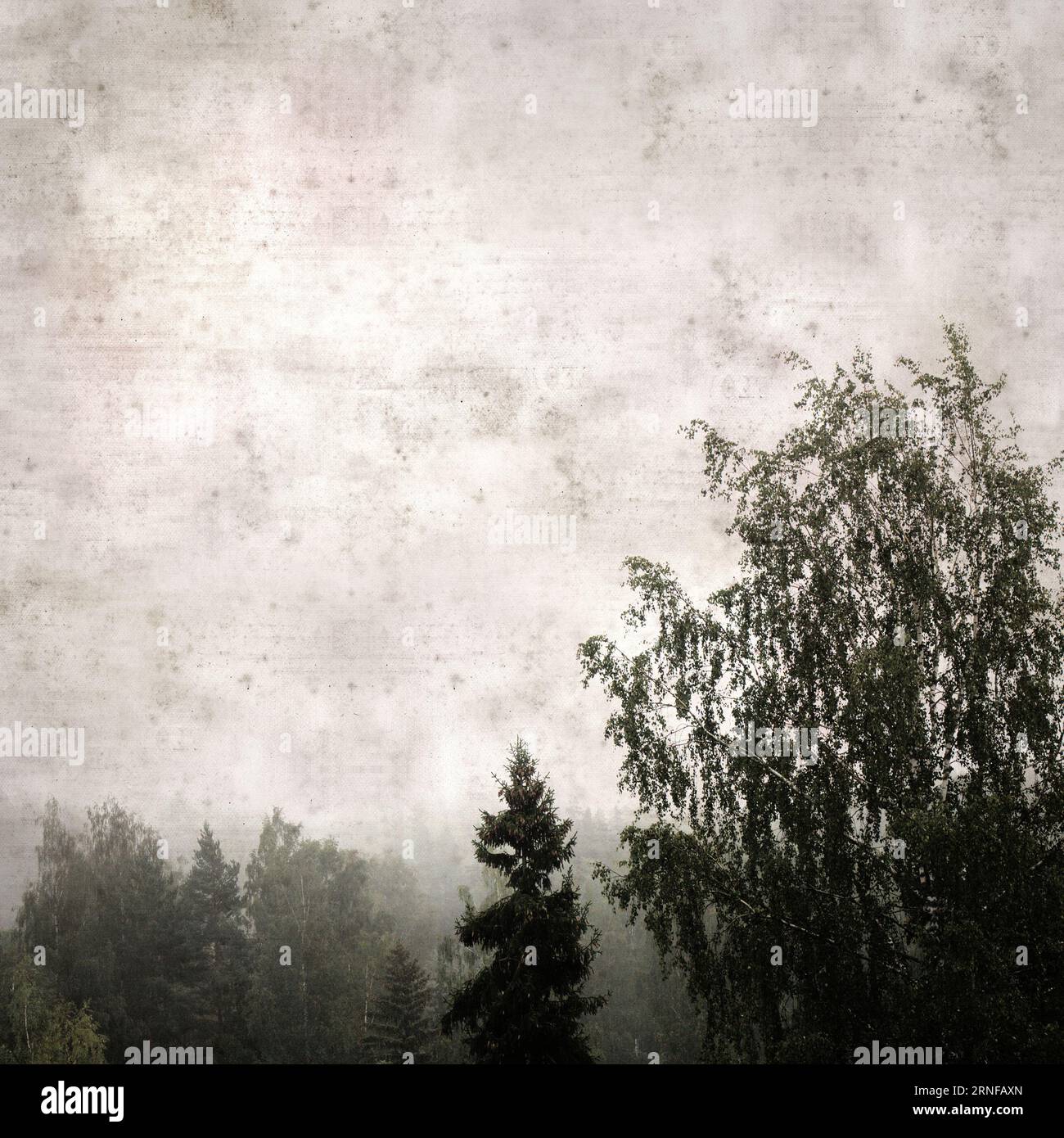 textured stylish old paper background, square Stock Photo - Alamy