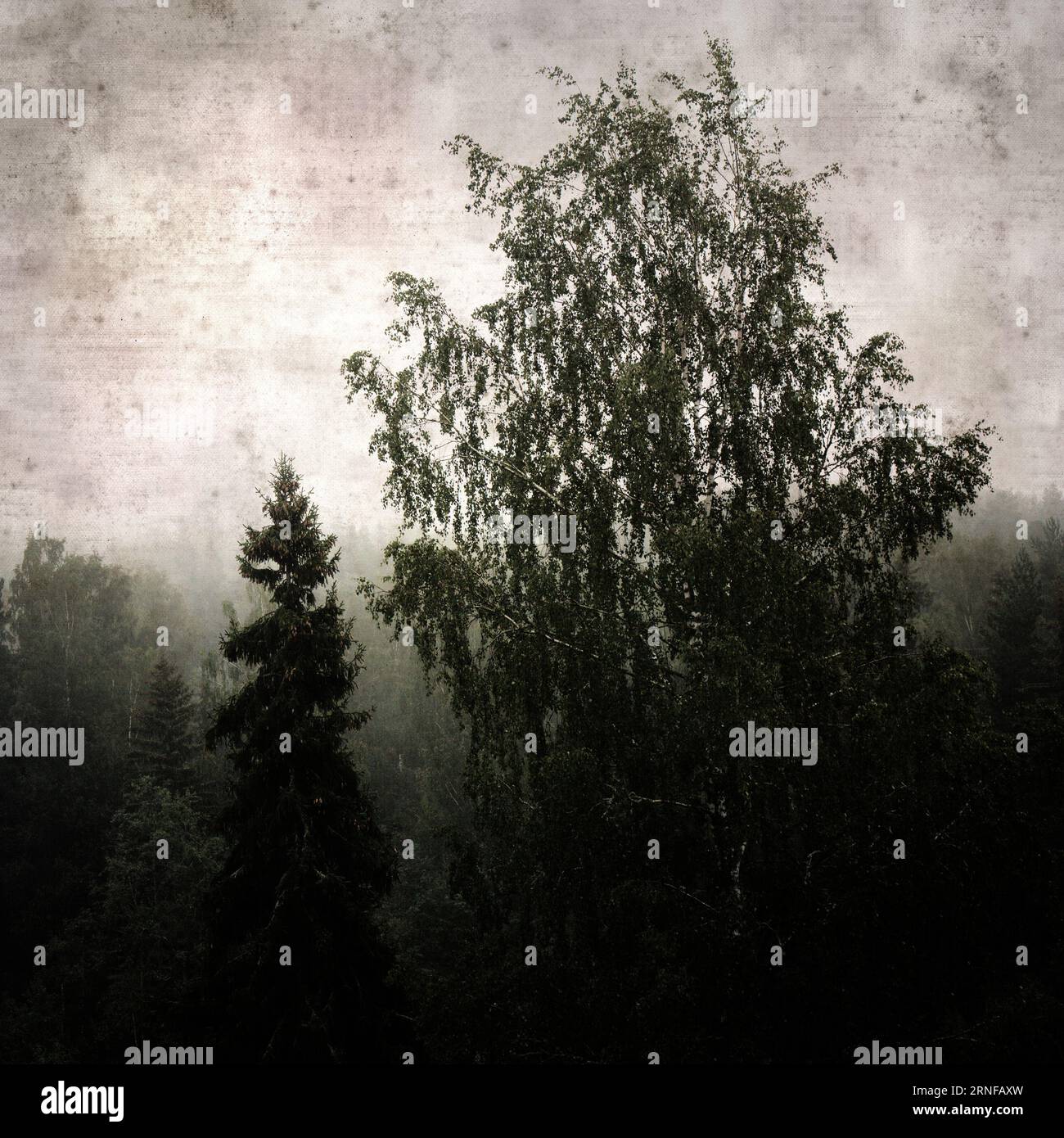 textured stylish old paper background, square Stock Photo - Alamy