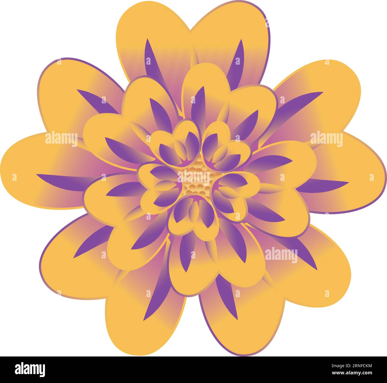 Isolated yellow and purple flower Vector Stock Vector Image & Art - Alamy