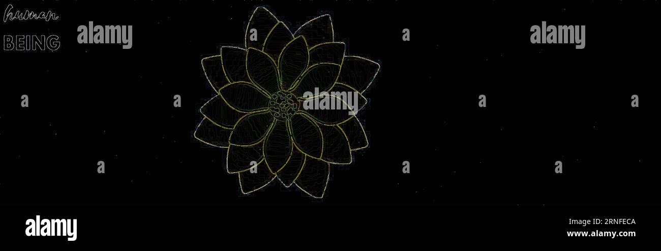 Flower art with best quality made from adobe illustrator Stock Vector ...