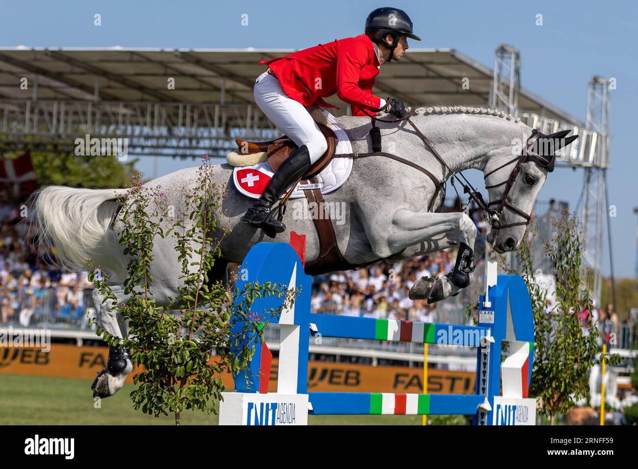 Martin fuchs of switzerland riding leone jei hi-res stock photography ...