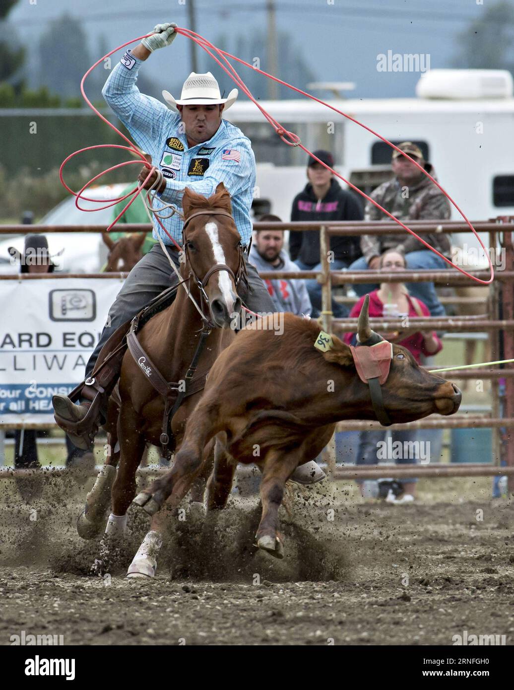 Cowgirls roping hi-res stock photography and images - Alamy