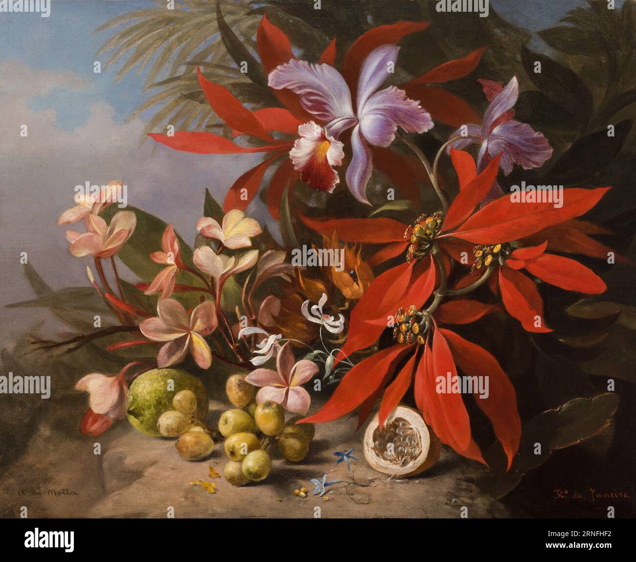 Natureza morta com flores hi-res stock photography and images - Alamy