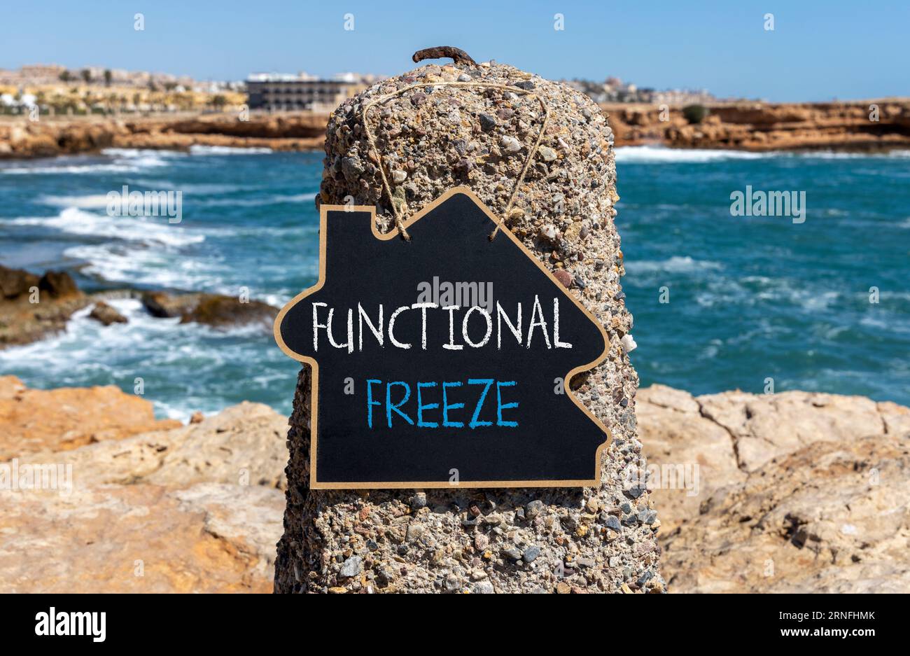 Functional freeze symbol. Concept words Functional freeze on beautiful ...