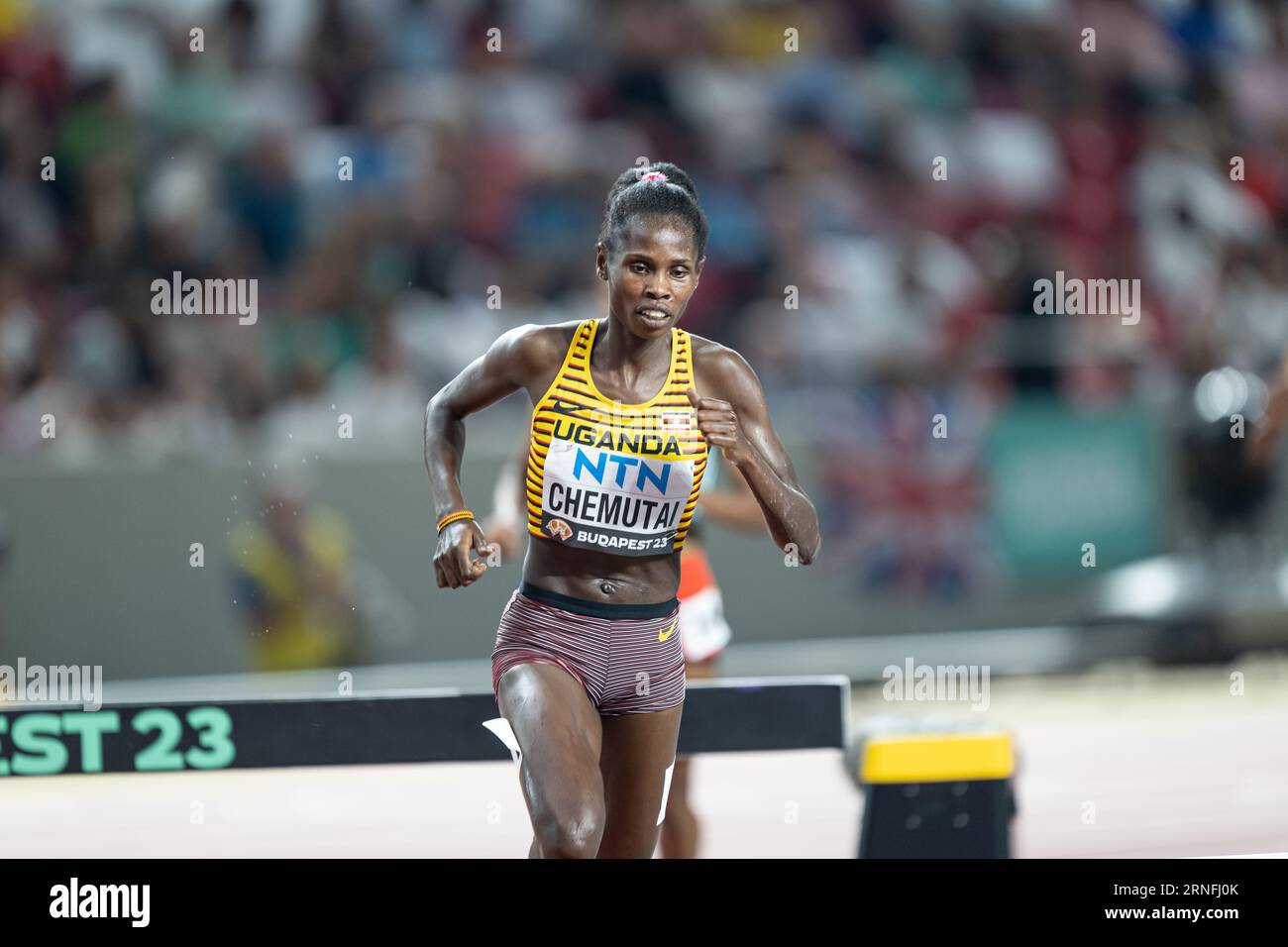 Peruth Chemutai participating in the 3000 m Steeplechase at the World ...