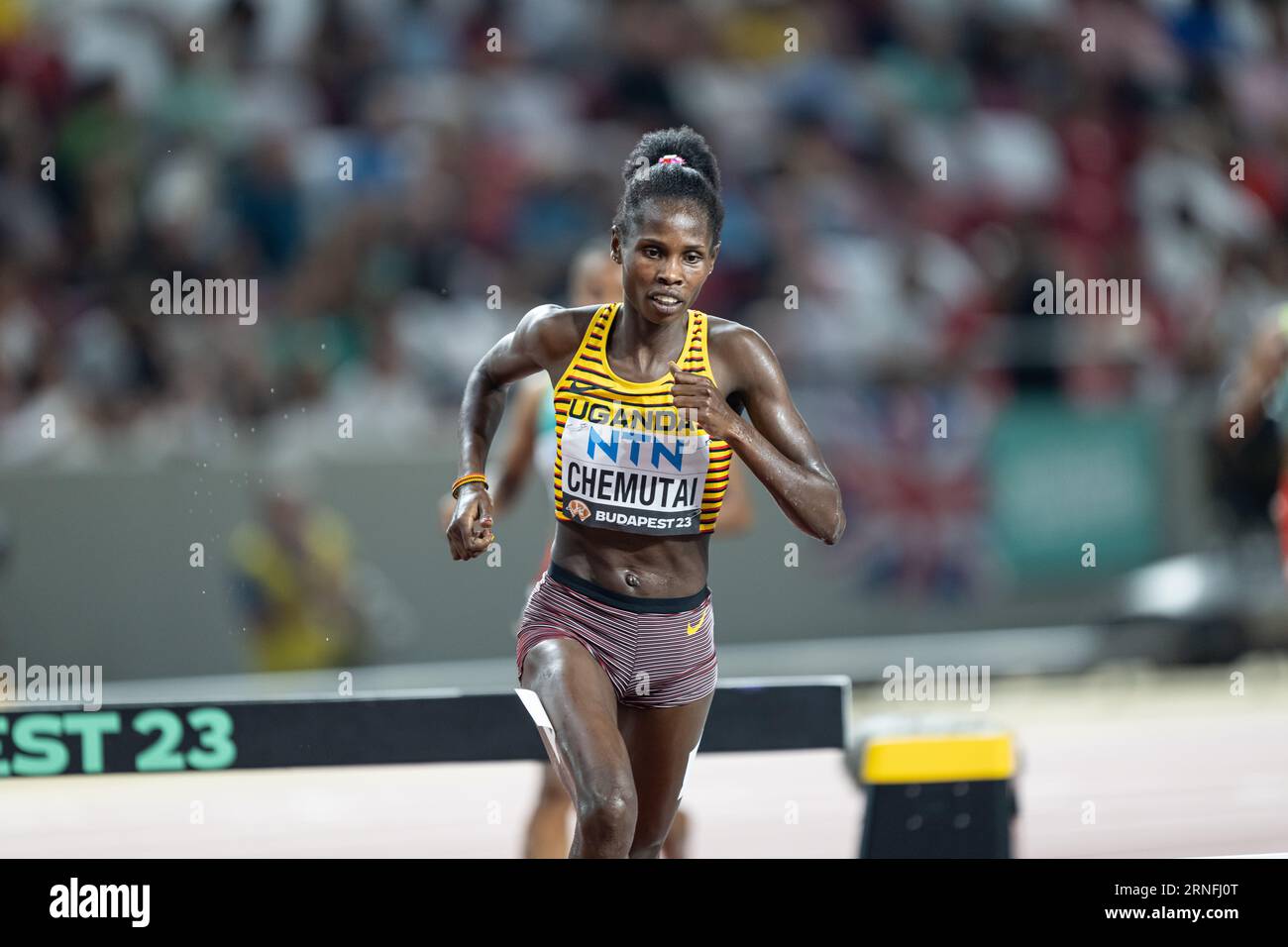 Peruth Chemutai participating in the 3000 m Steeplechase at the World ...