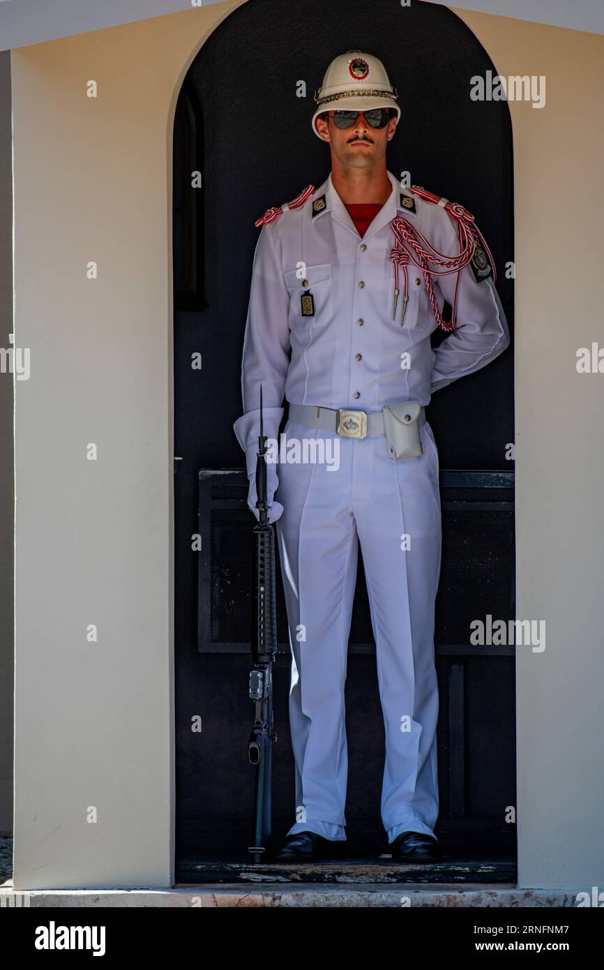 Prince albert monaco uniform hi-res stock photography and images - Alamy