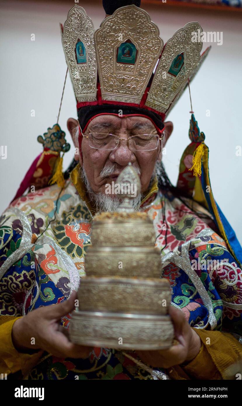 Himalayan insects hi-res stock photography and images - Alamy