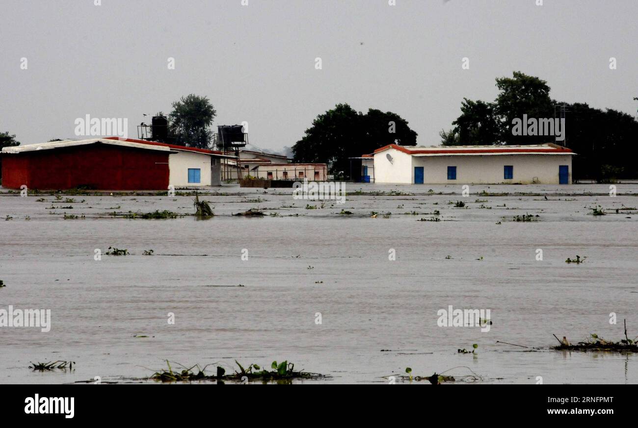(160820) -- PATNA (INDIA), Aug. 20, 2016 -- Photo taken on Aug. 20 ...