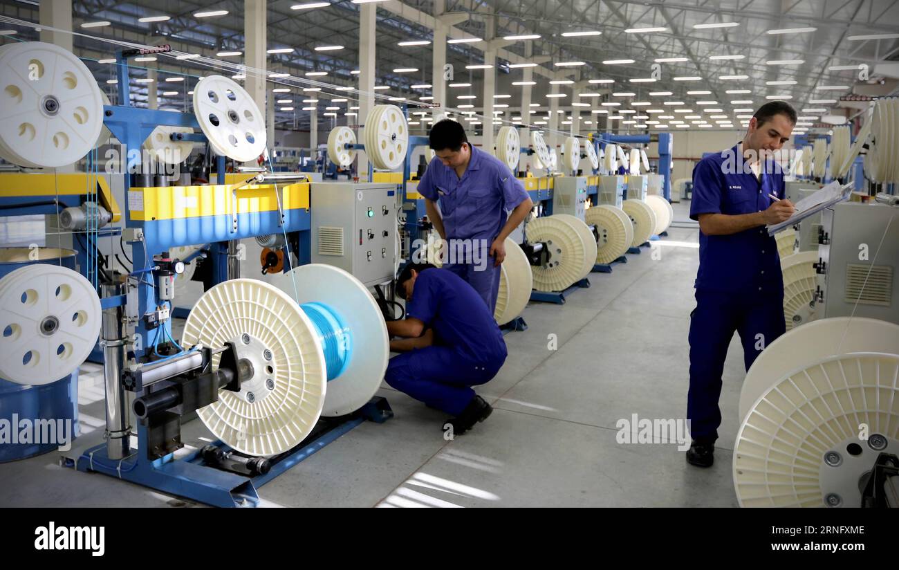 Fiber optic plant hi-res stock photography and images - Alamy