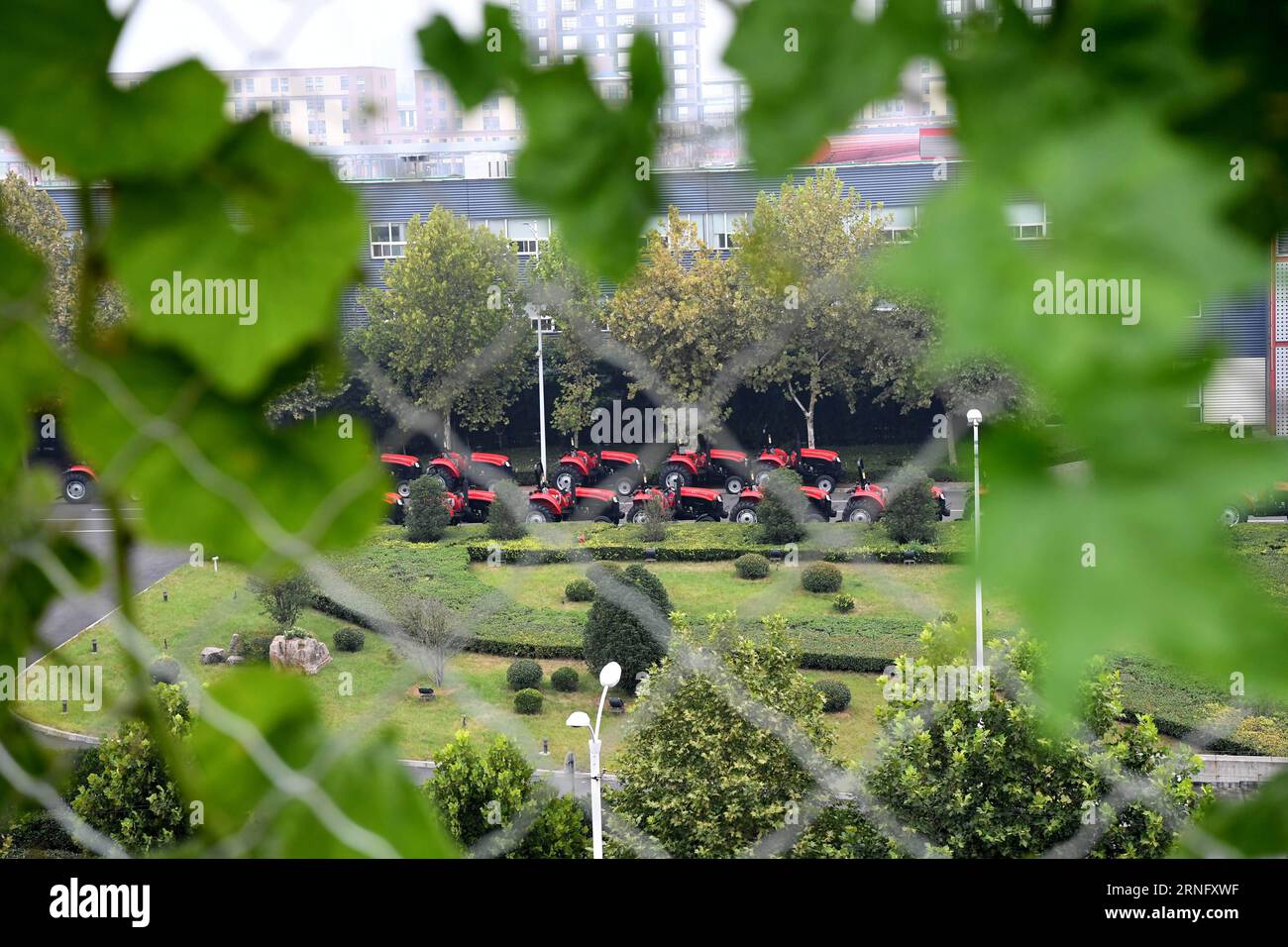 Dongfanghong tractors are seen at YTO company in Luoyang, central China ...