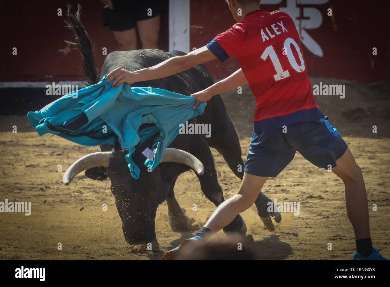 Bull chasing man hi-res stock photography and images - Alamy