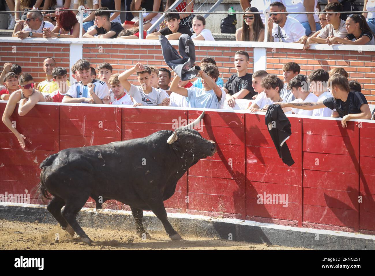 Zalduendo ranch hi-res stock photography and images - Alamy