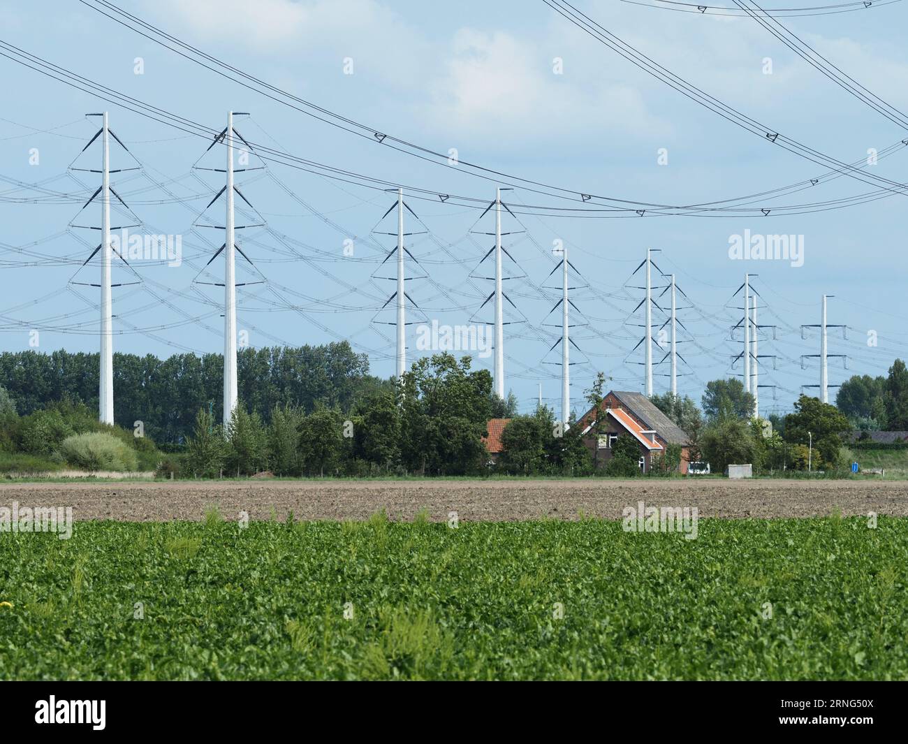 Modern High voltage power lines in the dutch countryside near Borssele ...