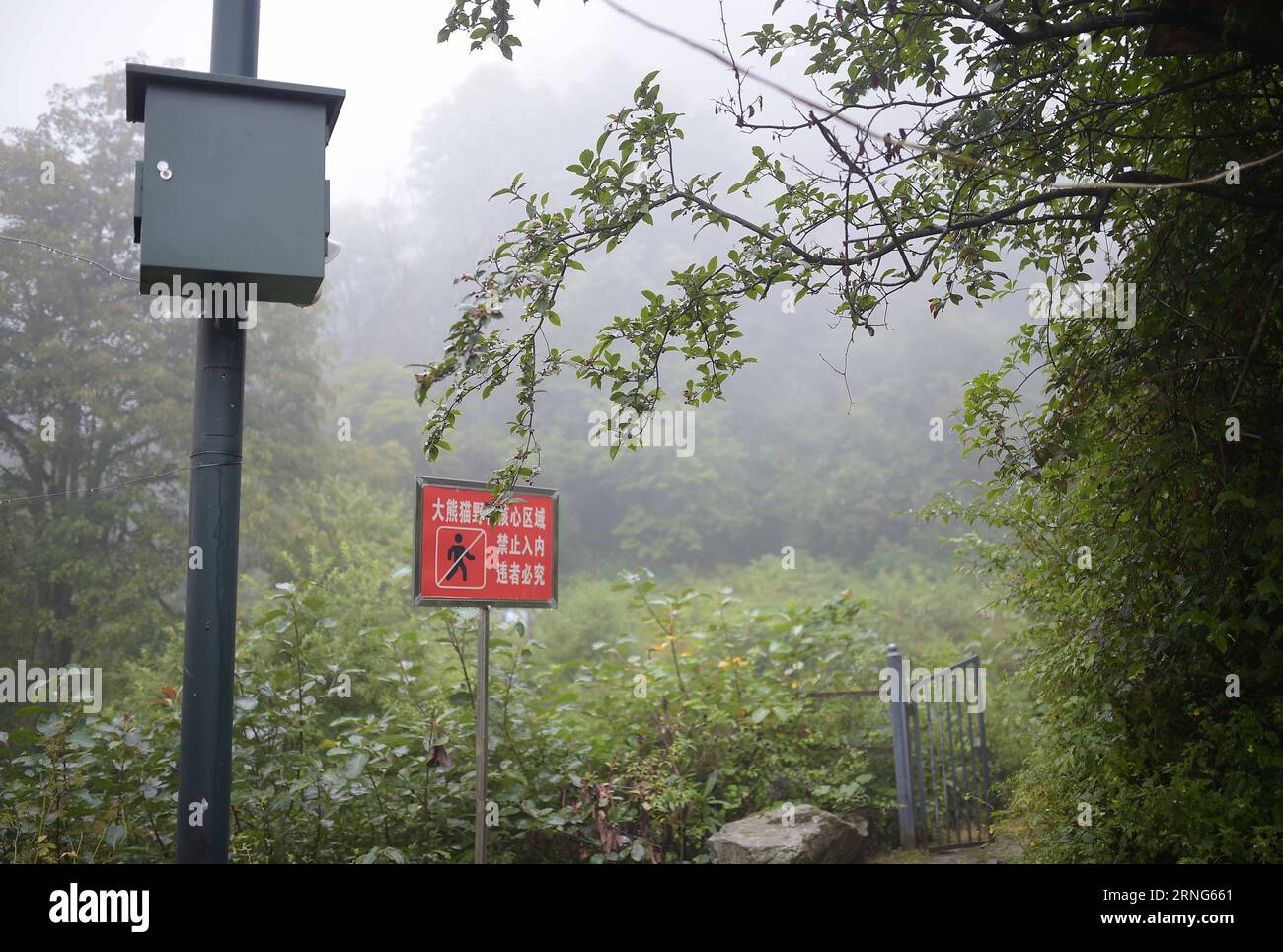 CHENGDU, 2016 -- Photo taken on Aug. 29, 2016 shows the entrance of ...