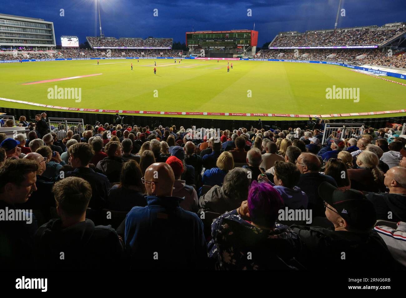 Cricket crowd hi-res stock photography and images - Alamy