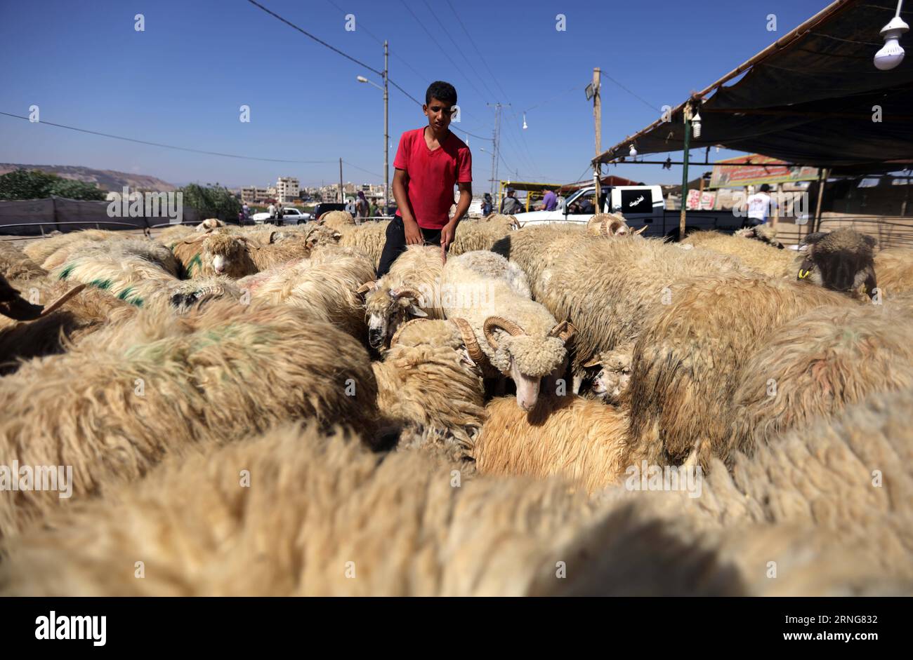 Baqa’a refugee camp hi-res stock photography and images - Alamy