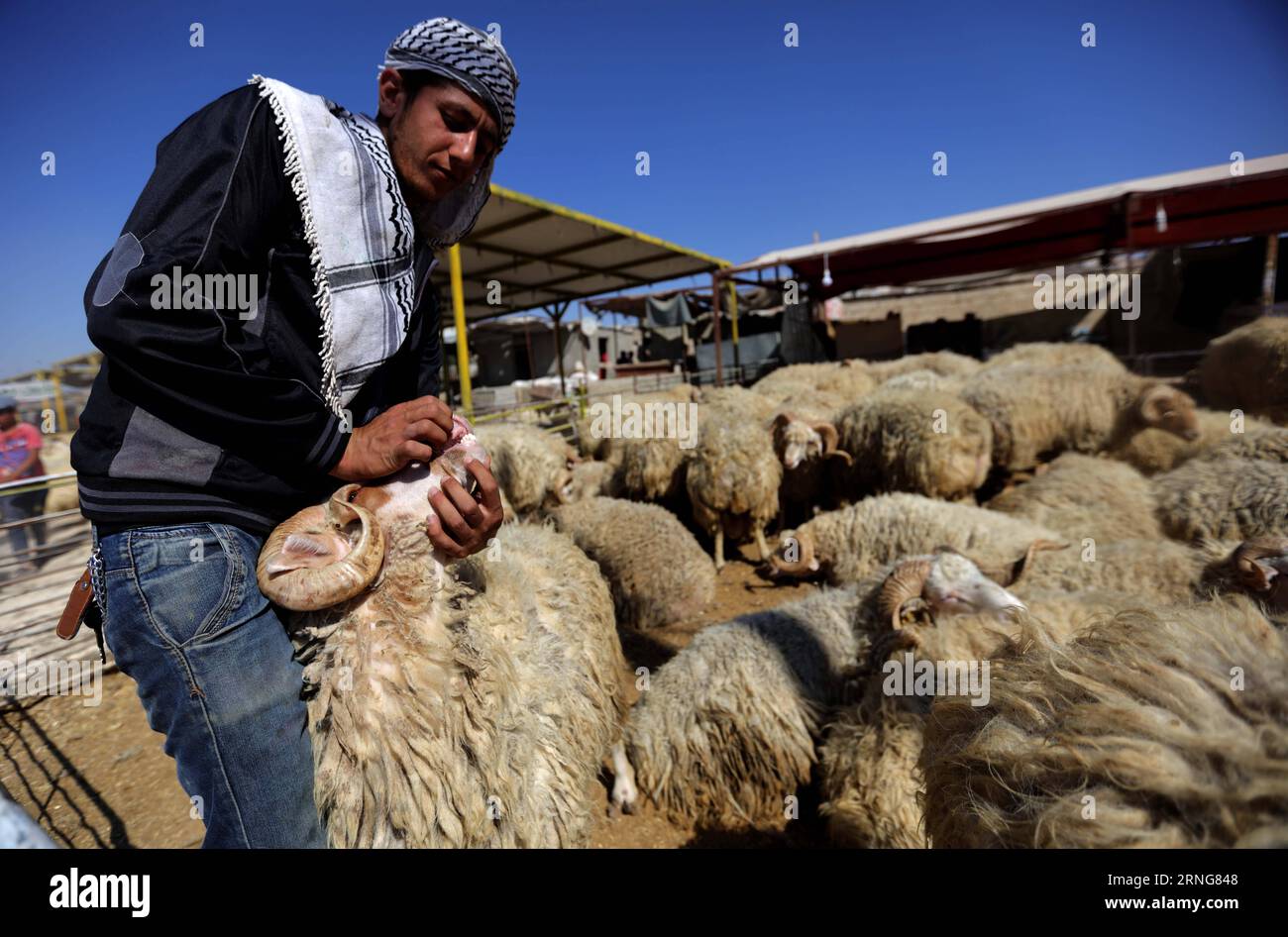 Al baqaa jordan hi-res stock photography and images - Alamy
