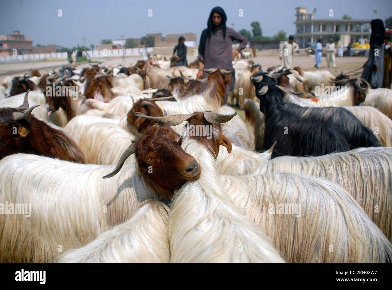 Peshawar market hi-res stock photography and images - Alamy