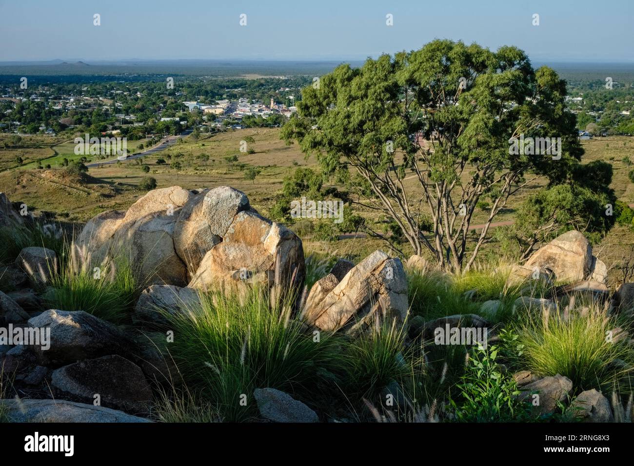 Speargrass growing on top of Towers Hill with a view towards the ...