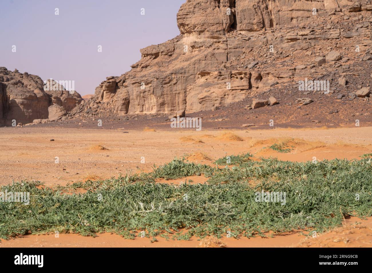 view in the Sahara desert of Tadrart rouge tassili najer in Djanet City ...