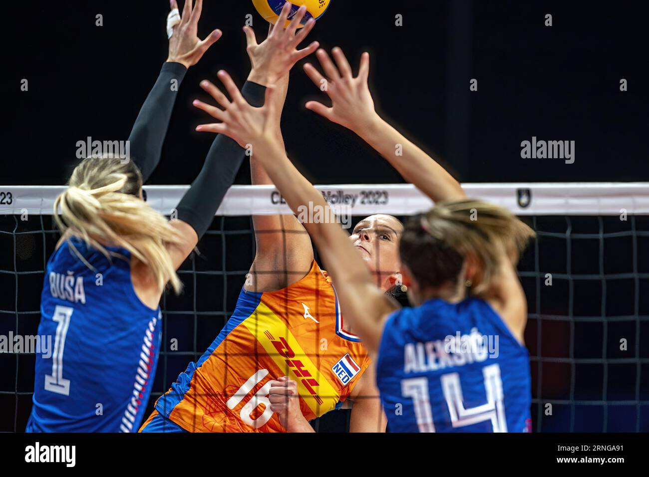 BRUSSELS - from left to right Bianka Busa, Indy Baijens, Maja Aleksic ...
