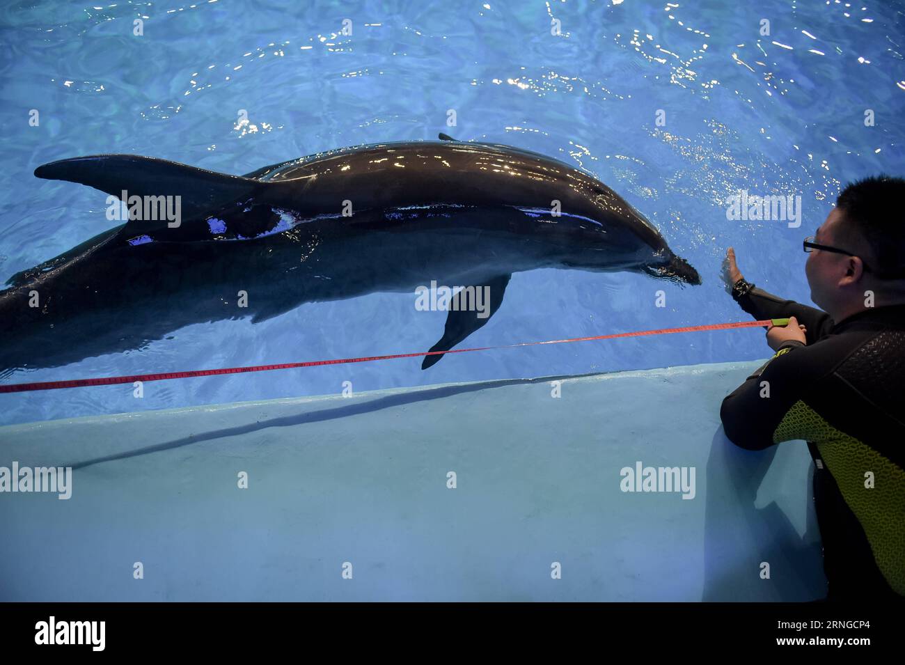 (160921) -- HEFEI, Sept. 21, 2016 -- A staff member measures the body ...
