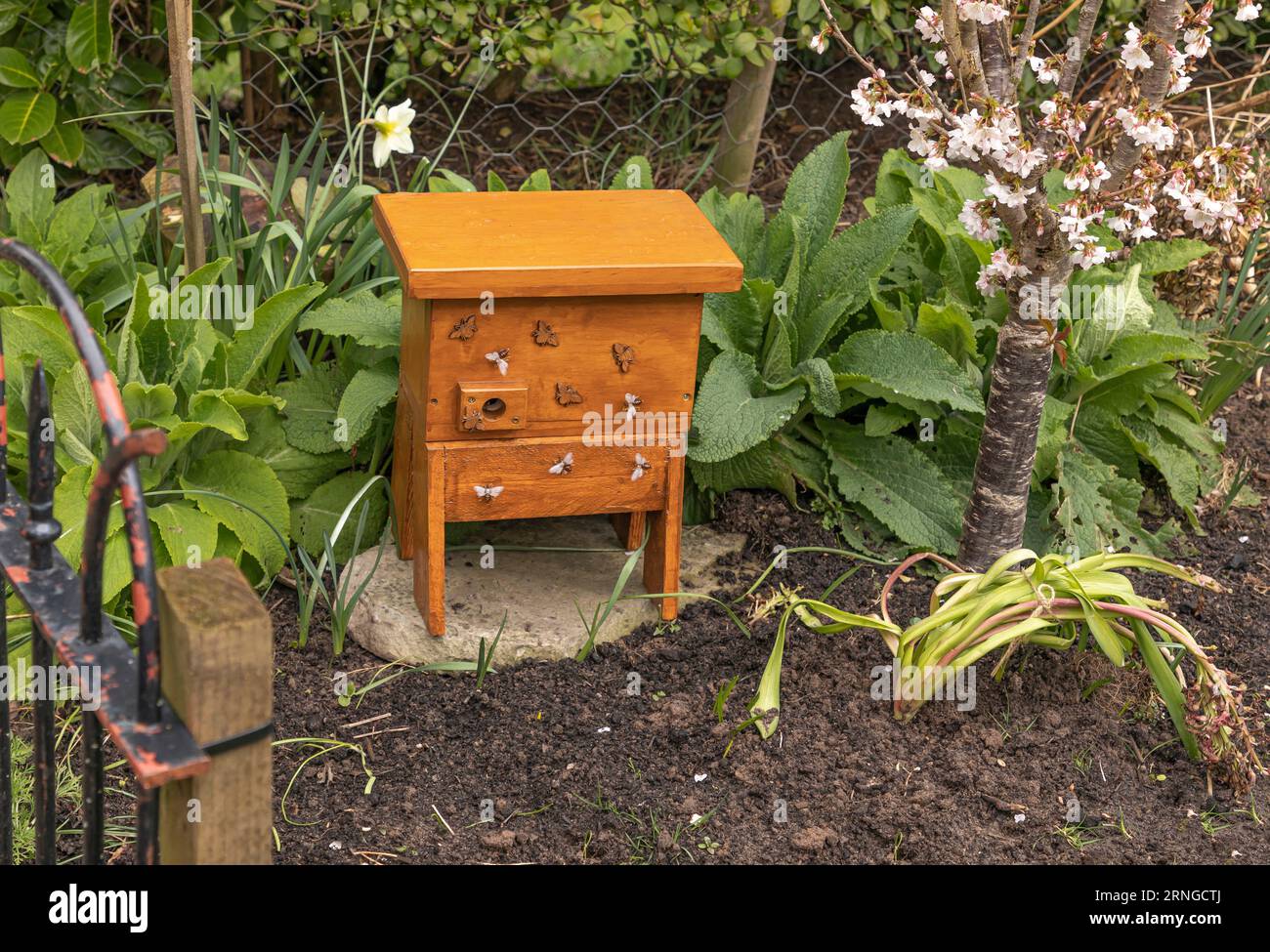 Bumble bee box in the border of a garden made of wood with fake ...