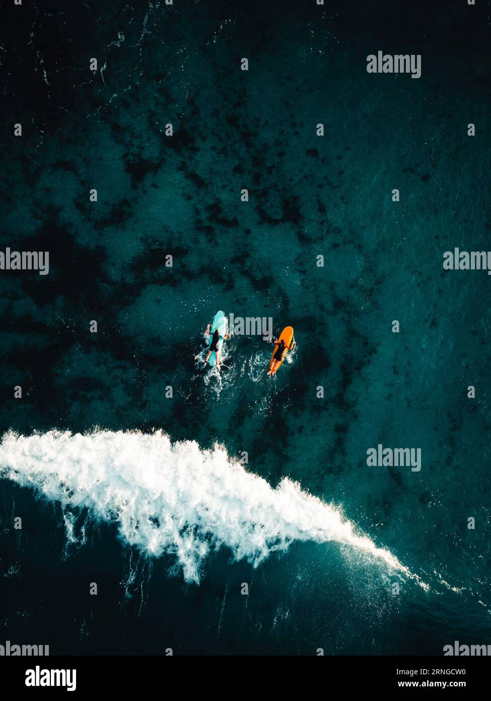 Two surfers floating on surfboard in tropical ocean with big and ...