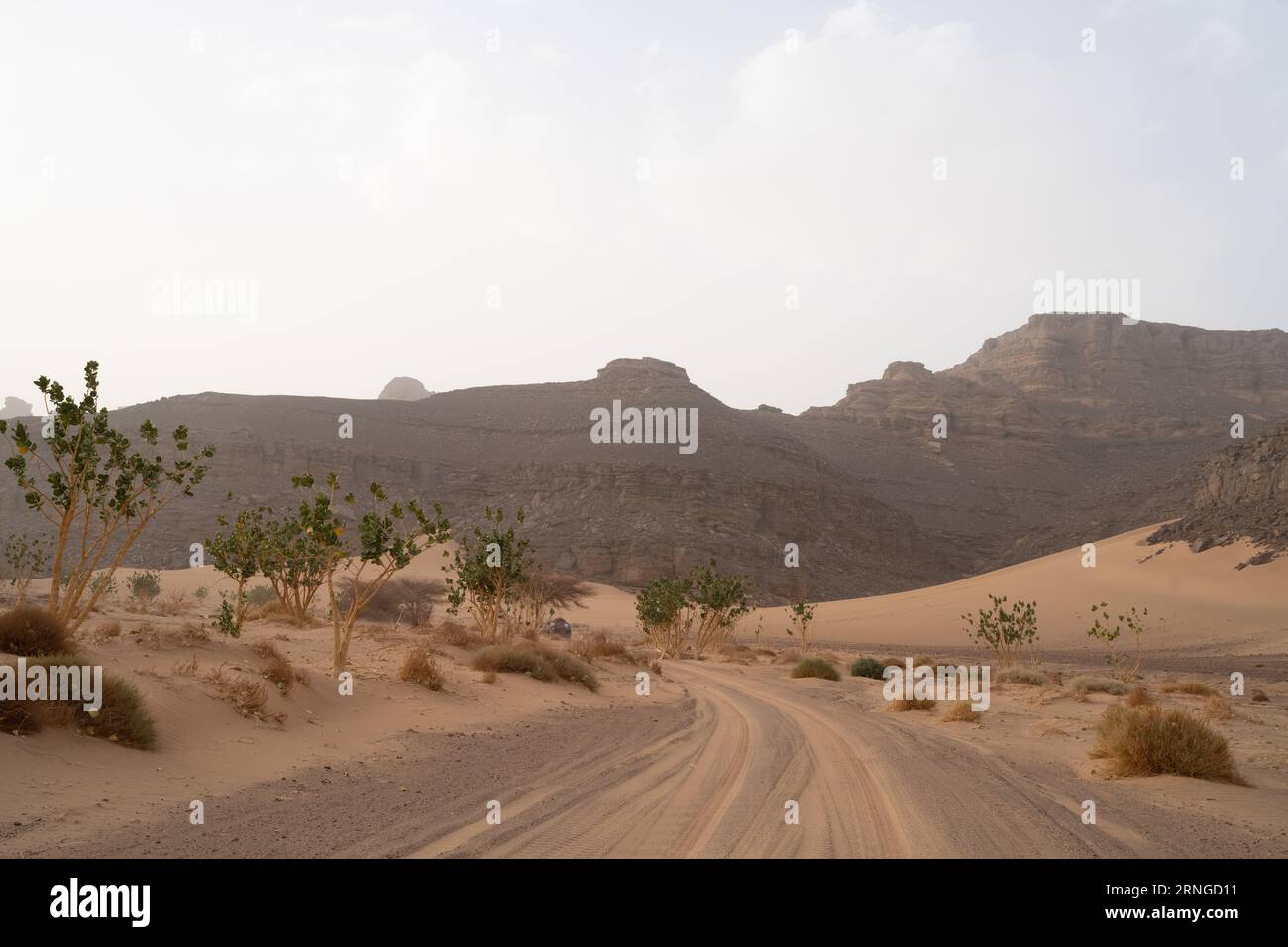 view in the Sahara desert of Tadrart rouge tassili najer in Djanet City ...