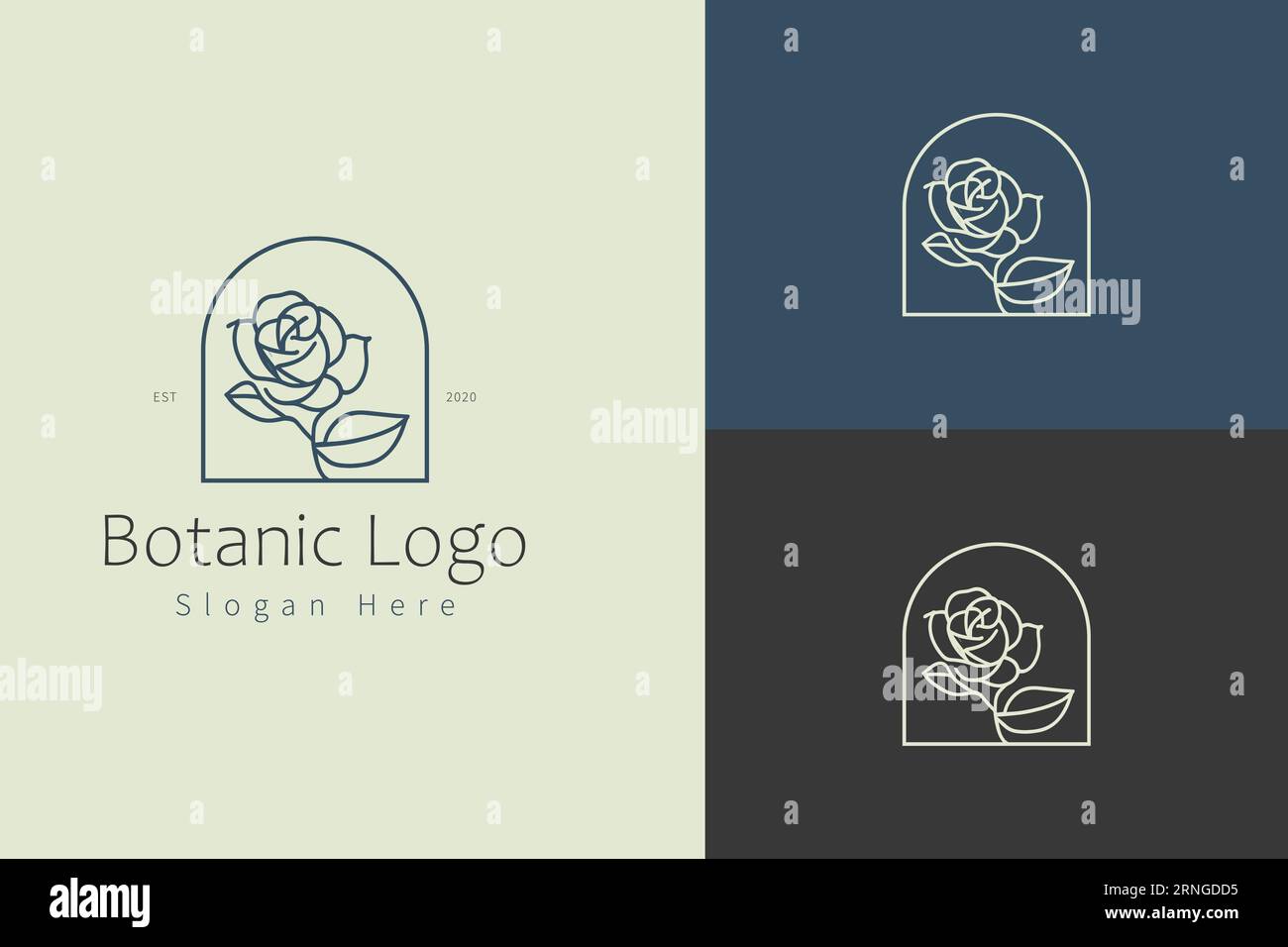 Botanic vector vectors hi-res stock photography and images - Alamy