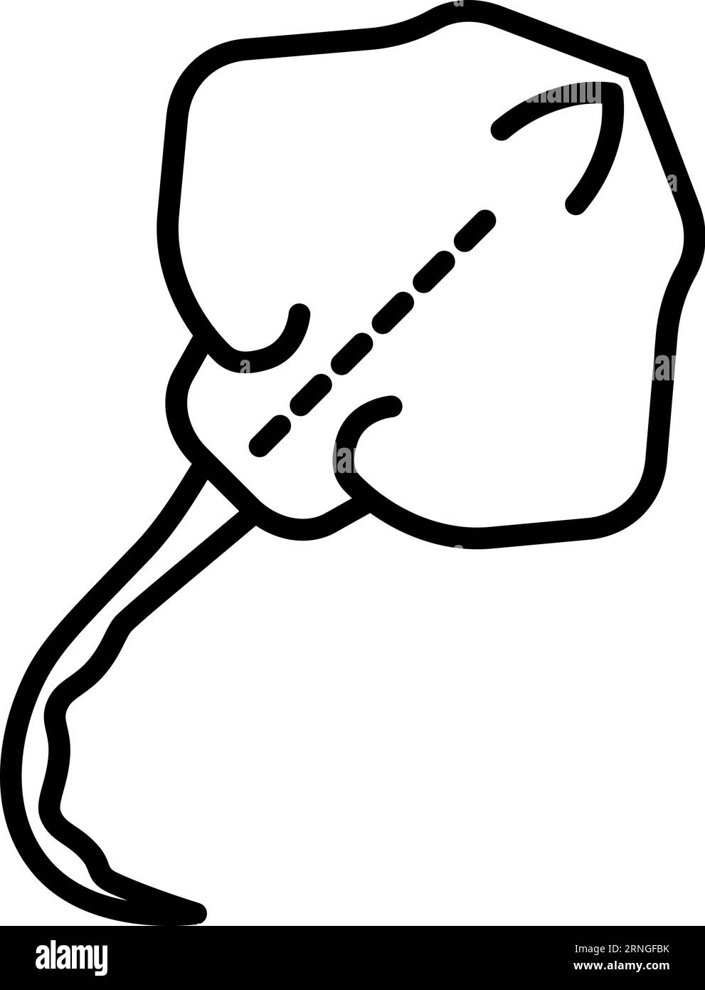 Electric ray line icon. Marine fish symbol Stock Vector Image & Art - Alamy