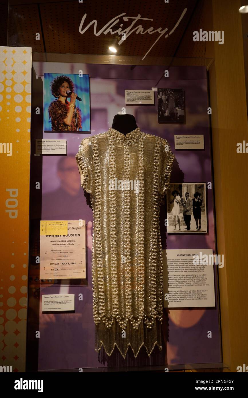 A beaded dress worn by the late singer Whitney Houston at the 21st ...