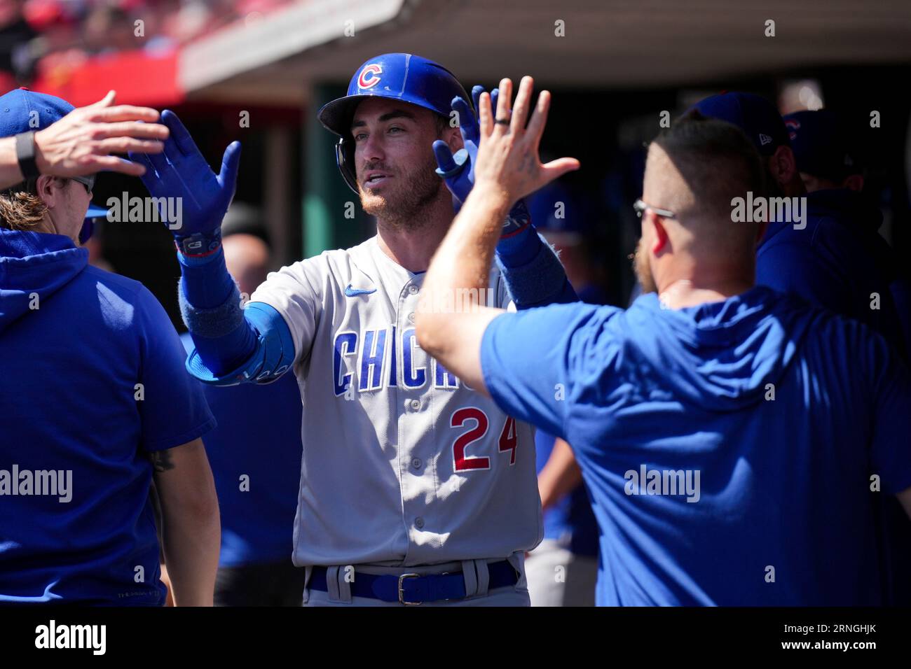 Chicago Cubs' Cody Bellinger (24) high-fives teammates after hitting a ...