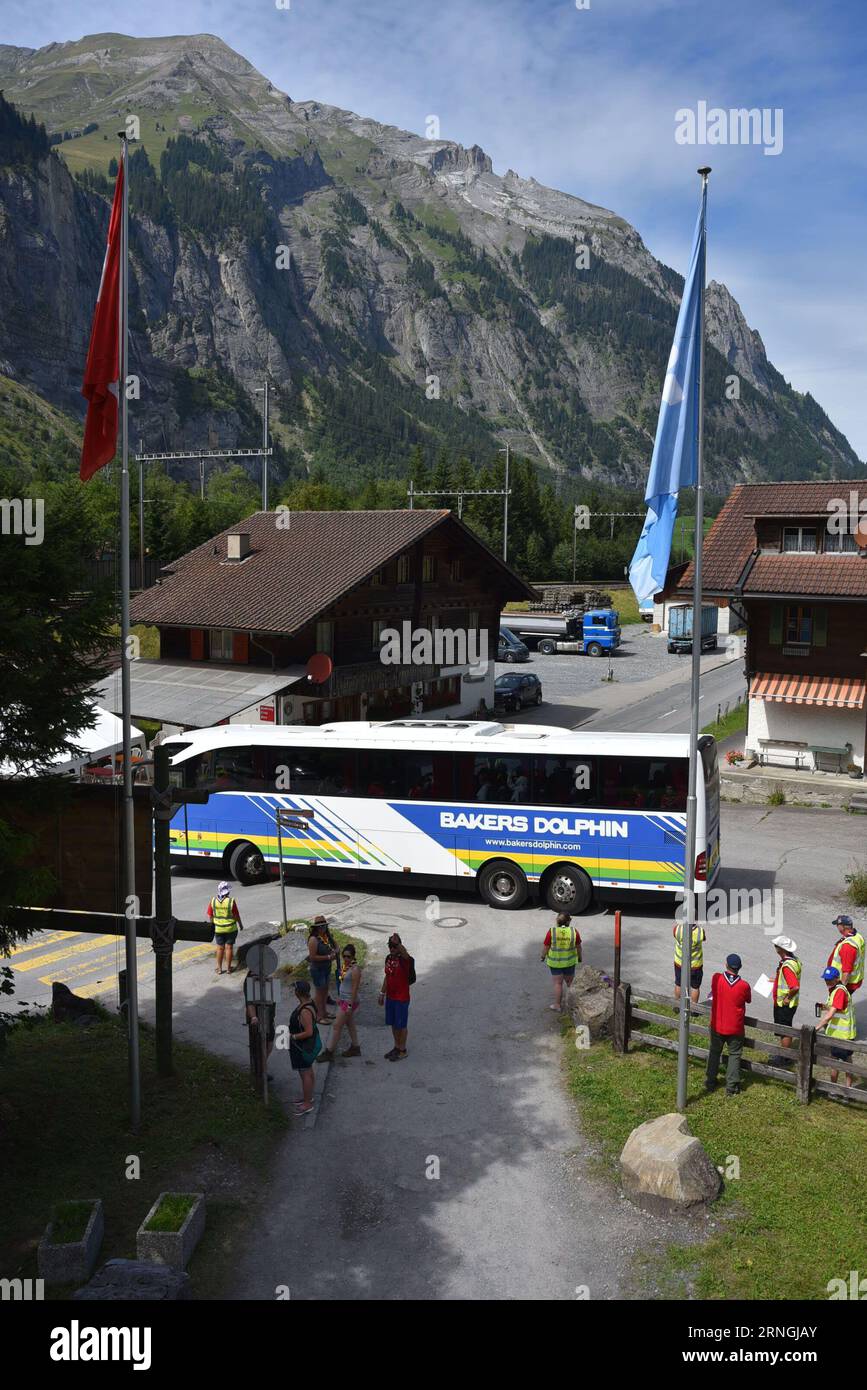 Bakes dolphin hi-res stock photography and images - Alamy