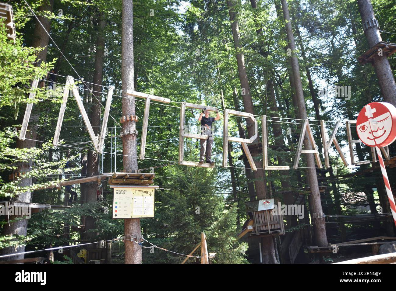 Interlaken High Ropes Stock Photo - Alamy