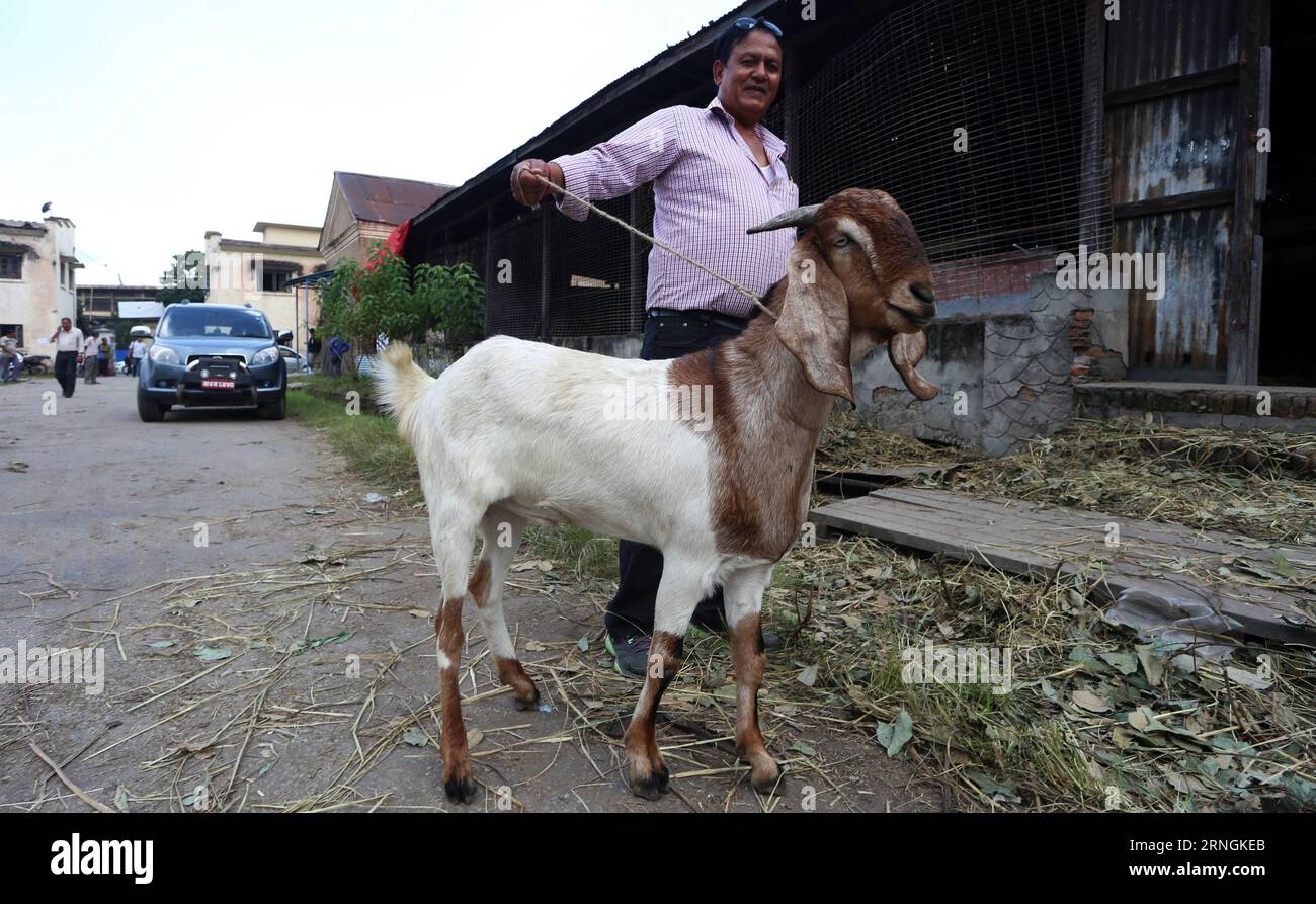 Dashain nepal family hi-res stock photography and images - Alamy