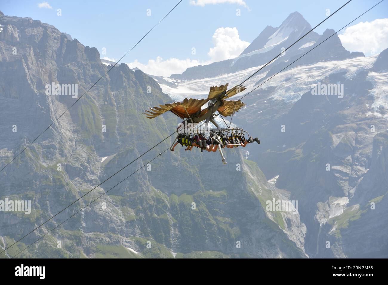 First glider hi-res stock photography and images - Alamy