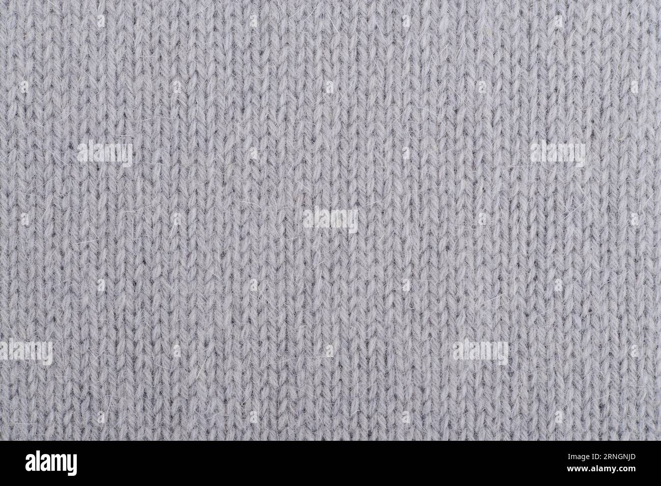 Grey angora hi-res stock photography and images - Alamy