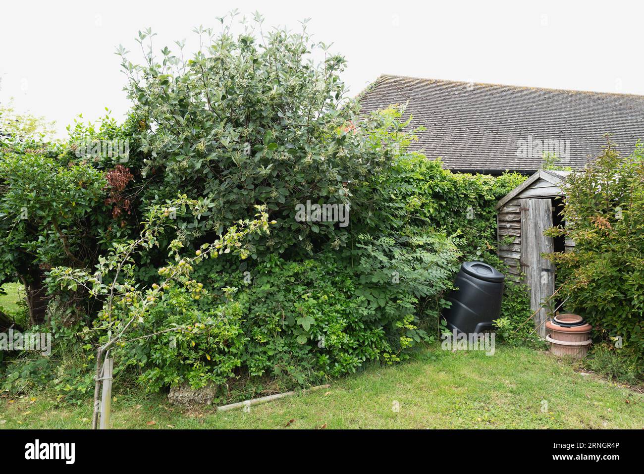 Broken shed hi-res stock photography and images - Alamy