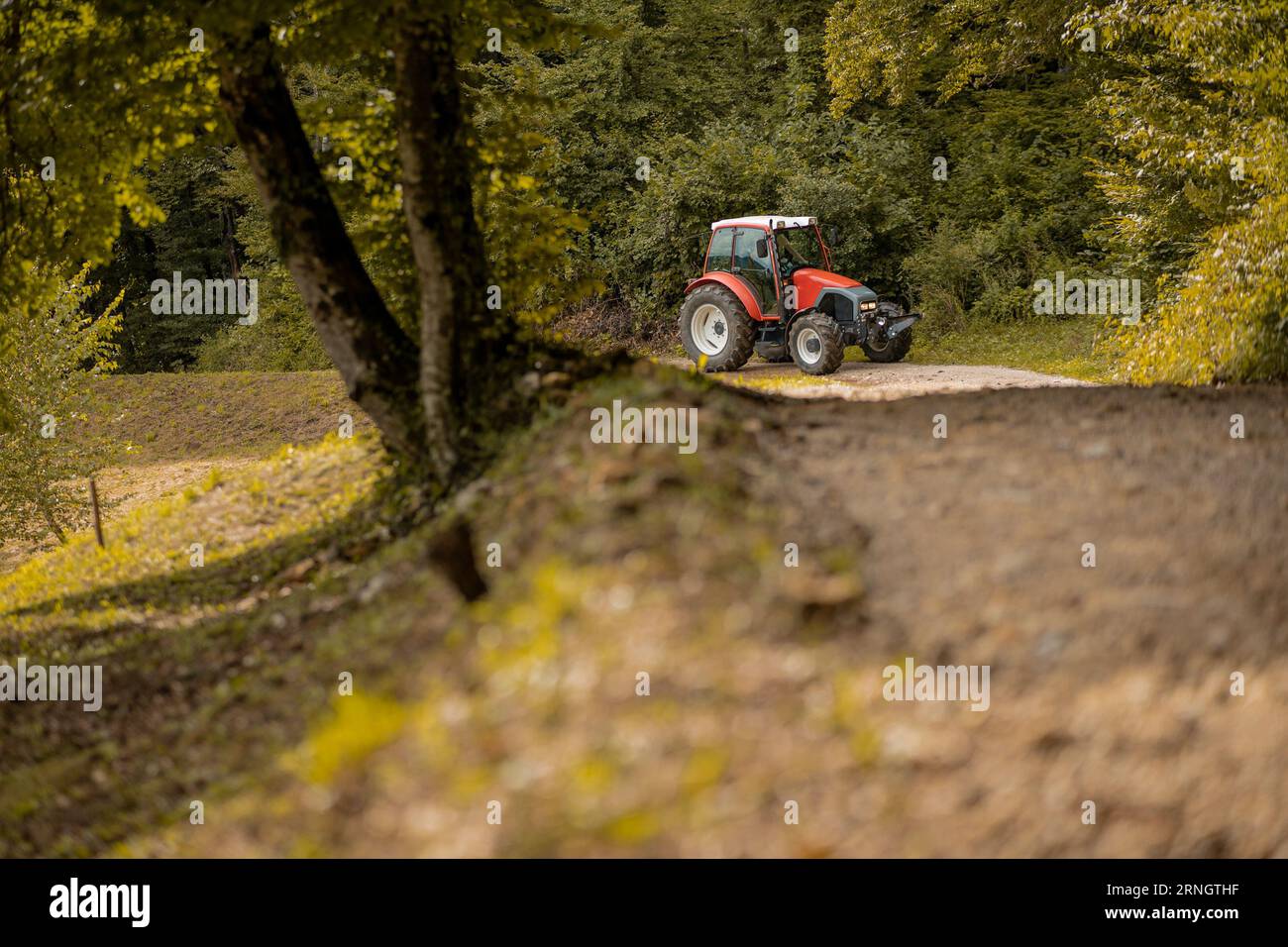 Red tractor approaching the camera on a small gravel road in the forest ...